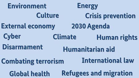 Foreign policy topics - Federal Foreign Office