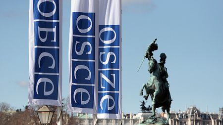 Organisation für Sicherheit und Zusammenarbeit in Europa (OSZE ...