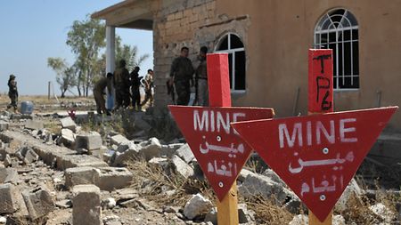 The 21st Meeting of the States Parties to the Ottawa Convention ...