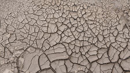 Irreversible impacts of climate change: Report by the Intergovernmental ...